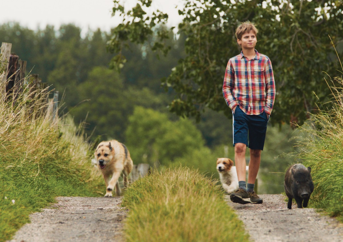 Lemming Film | remi, nobody's boy