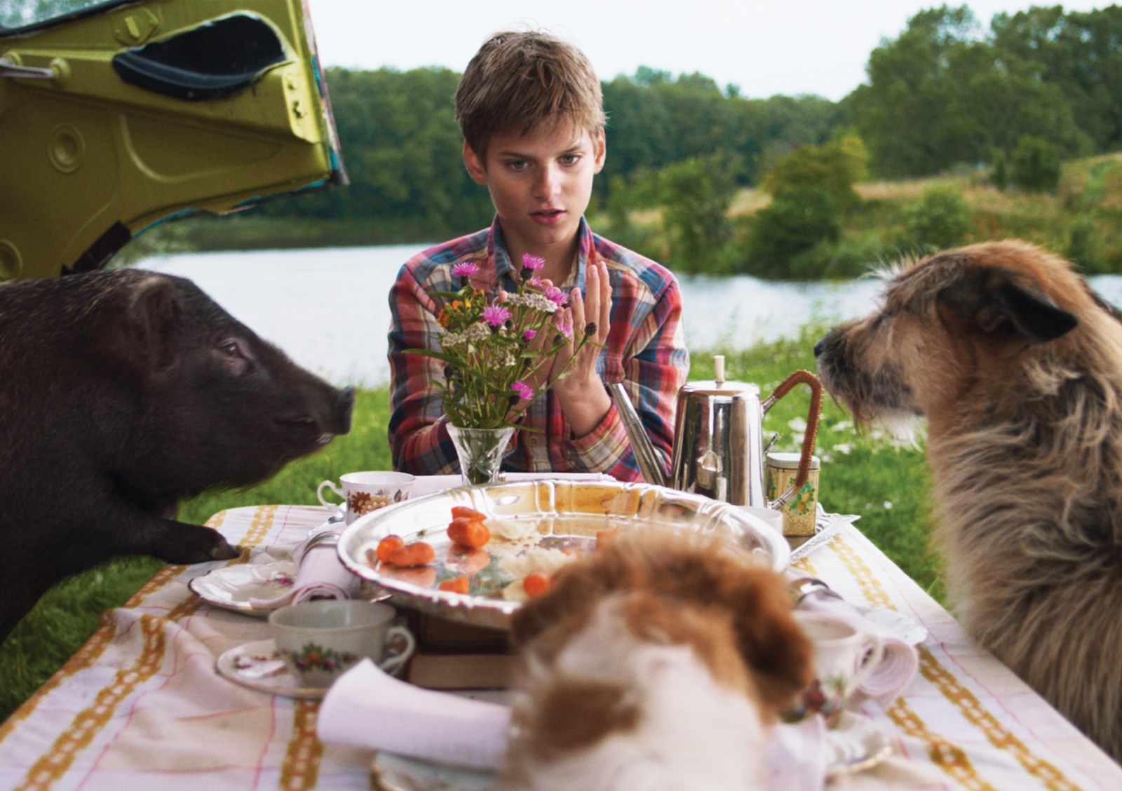 Lemming Film | remi, nobody's boy