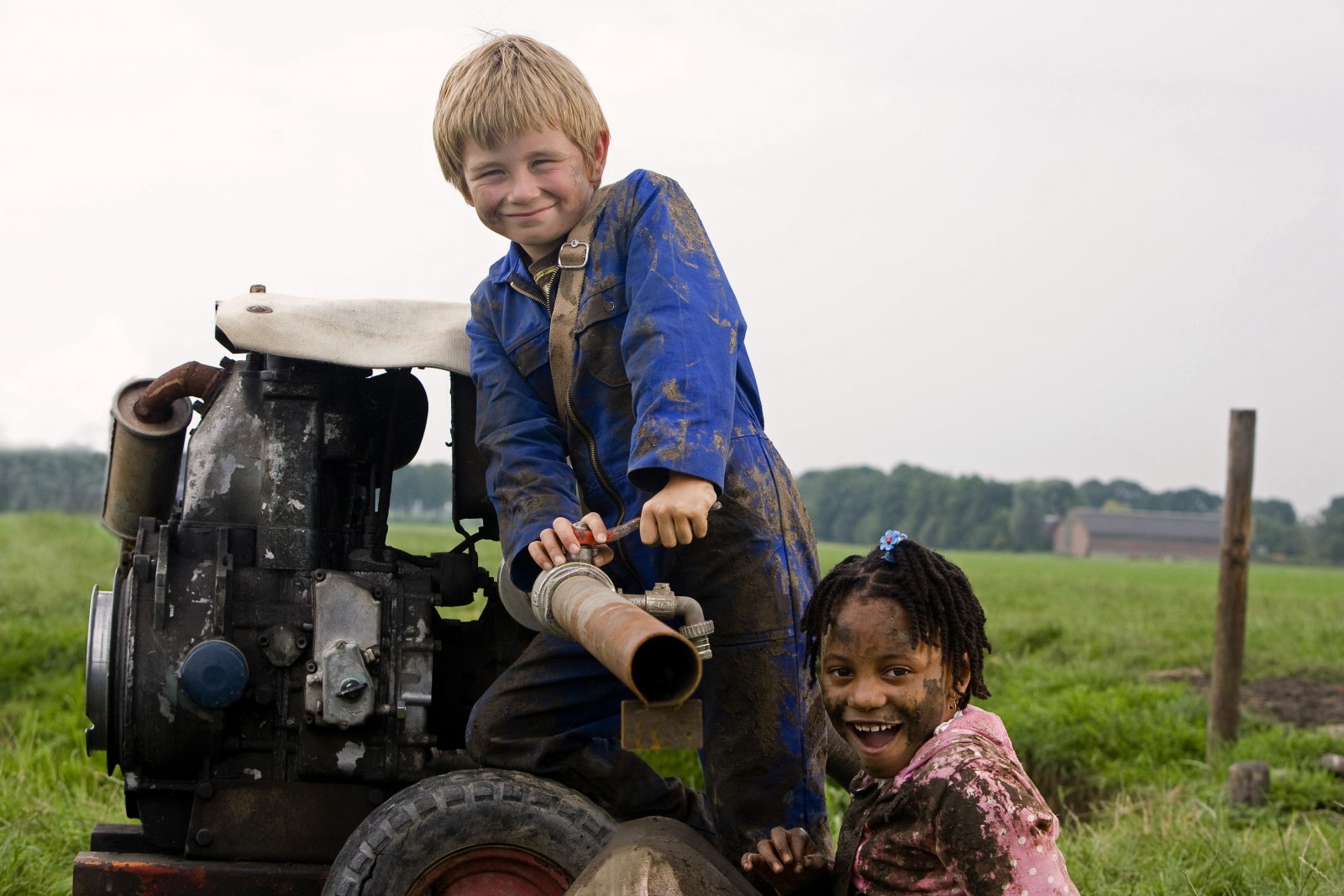 Lemming Film | frogs & toads