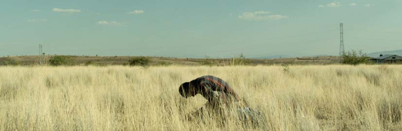 Lemming Film | Home